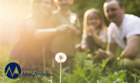 La Familia Es Base De La Sociedad Y Colegio Mariangela