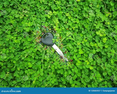 The Key On The Green Grass Background Key To Success Creative C Stock