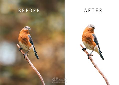 Remove Background مستقل