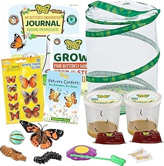 Insect Lore