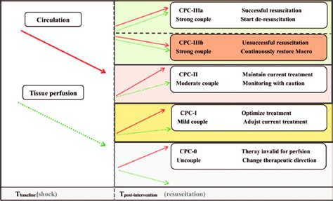 Schematic Diagram Of The Degree Scale Of Dynamic Circulation Perfusion