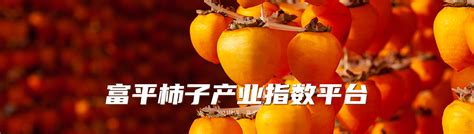 中国·陕西富平柿子产业指数