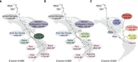 Unlocking Our Ancestry The Fascinating Science Of Ancient Dna Analysis