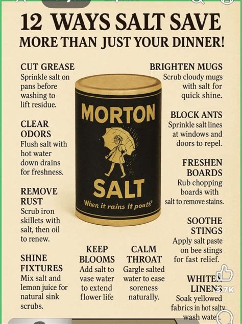 Cleaning With Mortons Salt Mortons Salt For Cleaning Uses Of