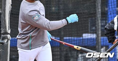 사진 로하스 홈런인가 조선비즈