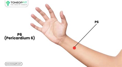 Discover The 4 Best Acupressure Points For Vertigo Toneopfit