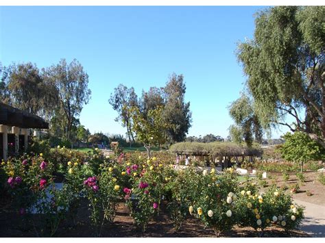 Rose Garden Balboa Park San Diego Ca Balboa Park Park Dolores Park