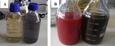 Red And Grey Elemental Selenium Nanoparticles 20 A And 200 Mg Dm À3