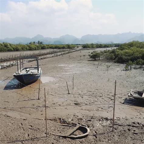 Irma Velazquez On Linkedin Eawd Eawgs Water Sustainability Energyaccess Investinwater…