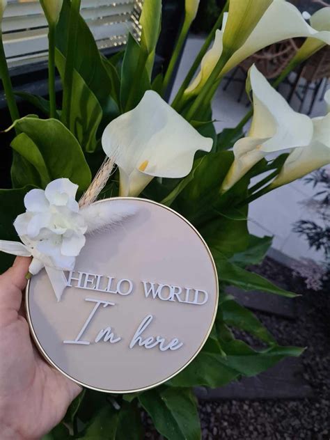 Hello World Im Here Acrylic Sign Aya Design