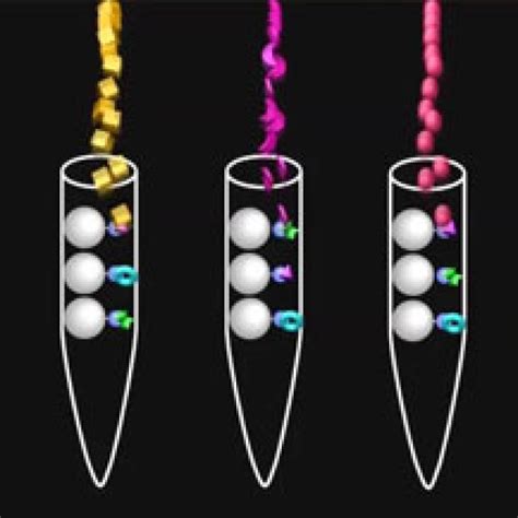 Diversity Oriented Synthesis
