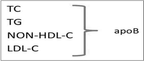 Apolipoprotein B The Rosetta Stone Of Lipidology Current Opinion In