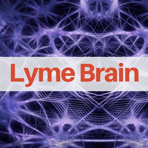 Lyme Sci When Brain Inflammation Persists After Lyme Disease Treatment Artofit