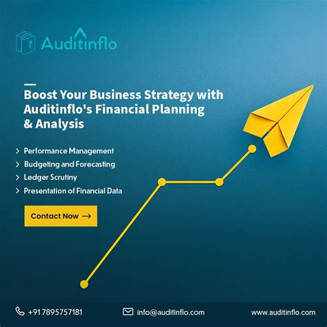 Auditinflo Auditinflorevolution Financialinsights Auditinfloexperts