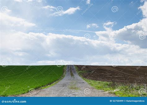 Agricultural Fields With Path Between Stock Image Image Of Blue
