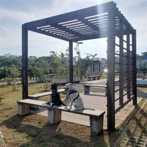 Snoopyandspike On Tumblr