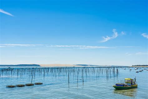 Cap Ferret Location At Marsha Robards Blog