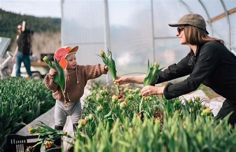 The Farm — Field Five Flowers