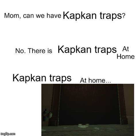 10000 Best Trap Images On Pholder The Cat Trap Is Working Catbellies