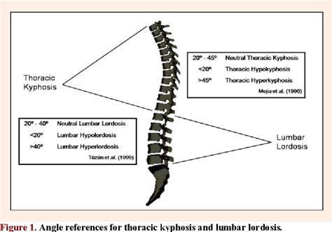 Table 2 From Spinal Posture Of Thoracic And Lumbar Spine And Pelvic Tilt In Highly Trained