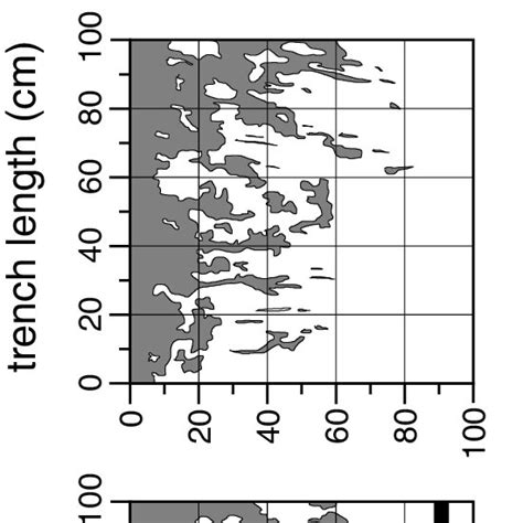Typical Macropore Flow Patterns Observed In Structured Fine Textured