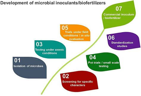 Microbial Inoculants Attra Sustainable Agriculture