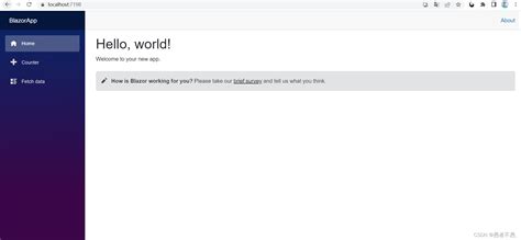 建立一個blazor Webassembly項目找不到包 Opentracing。源 Microsoft Visual Studio