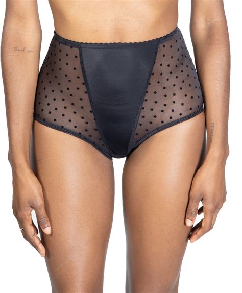High Waist Polkadot Panties Full Coverage Sheer High Waist Panties