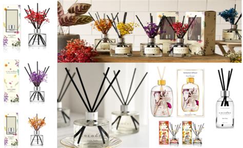 Fragnance Room Freshner Reed Diffuser At Best Price In Mumbai Id