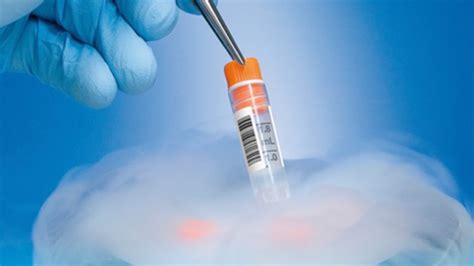 Mactac Introduces New Cryogenic Labels Labels And Labeling