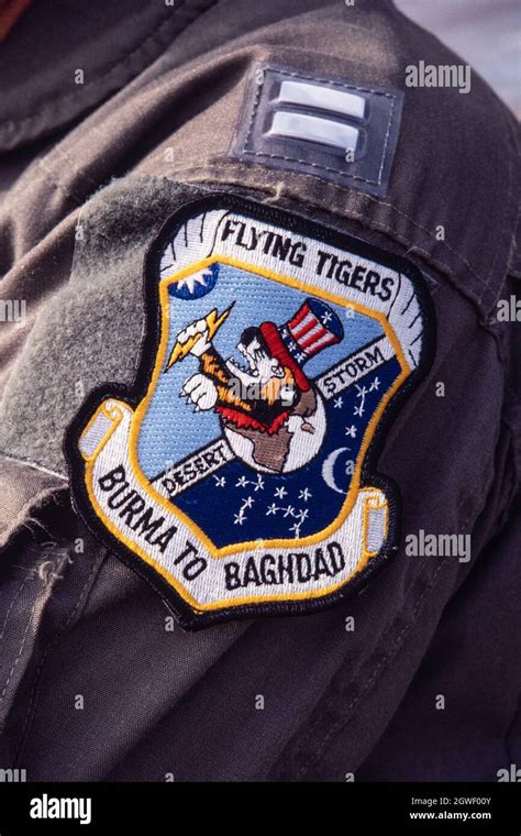 Air Force Fighter Squadron Patches 376th Fighter Squadron 361st