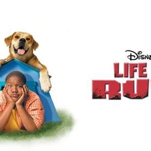 Life Is Ruff 2005 Rotten Tomatoes