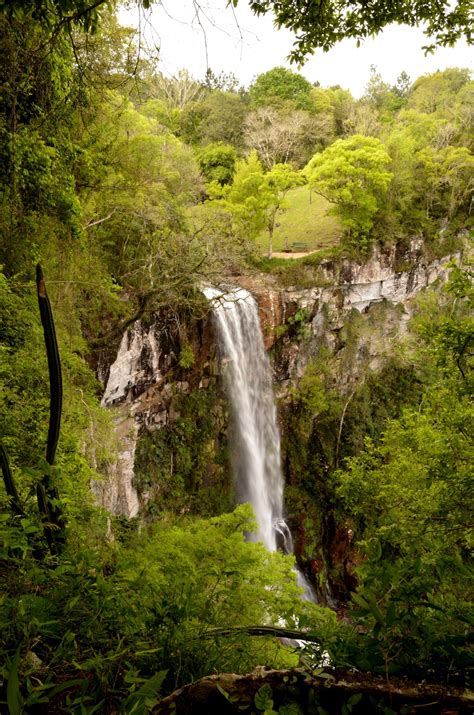 Gambar Pohon Alam Batu Air Terjun Gurun Daun Aliran Rimba