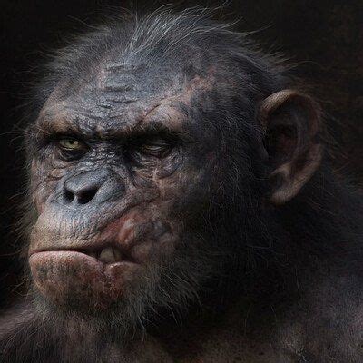 Dawn Of The Planet Of Apes Koba Design Jerad S Marantz Artofit