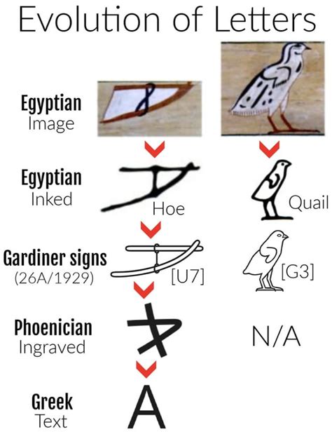 Evolution Of Letters R Alphanumerics