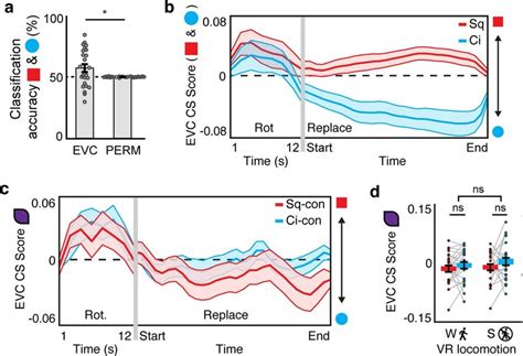 Early Visual Cortex Context And Contextual Memory Decoding A