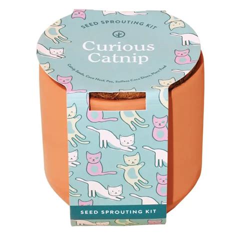 Curious Catnip Terracotta Pet Grow Kits Modern Companion