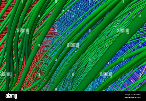 Diffusion Tensor Imaging Dti Scan Reconstructed Brain White Matter Fibres Of The Fornix