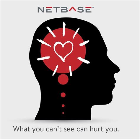 Netbase Logo Logodix