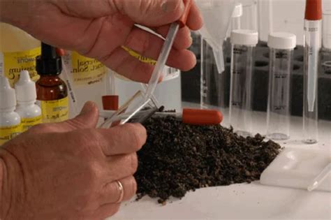 Soil Composition Testing Services At Rs 700sample In Pune Id