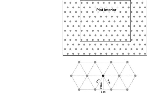 Spatial Distribution Of Trees Within Each Plot Adapted From Van