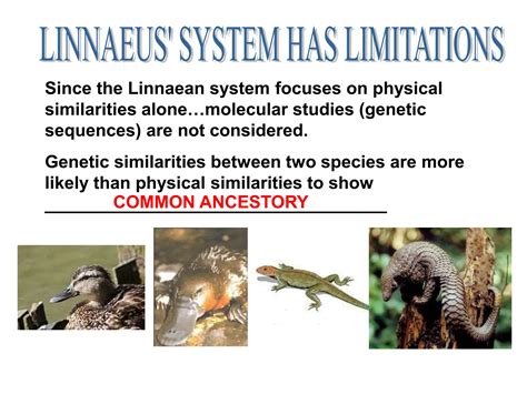 Taxonomy General Biology2 Stem Shspptx