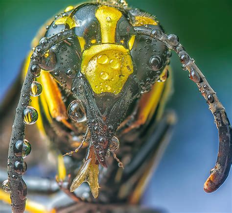 Big Smiley Face Photos Download The Best Free Big Smiley Face Stock