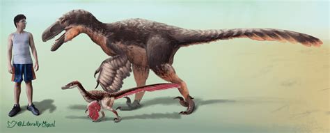 Velociraptor Versus Utahraptor Utahraptor Vs Smilodon Location