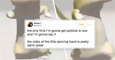 This Dancing Lizard Has Brought Great Wisdom And Happiness To The
