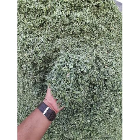 Dry Alfalfa Hay Grass Alfalfa Hay Material Dried Herb Form 98