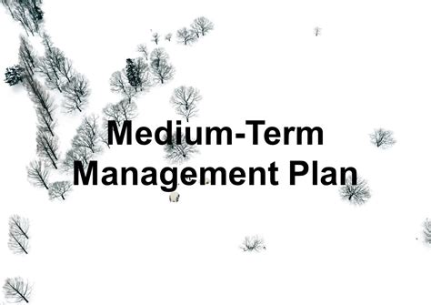 Medium Term Management Plan Investor Relations Snow Peak