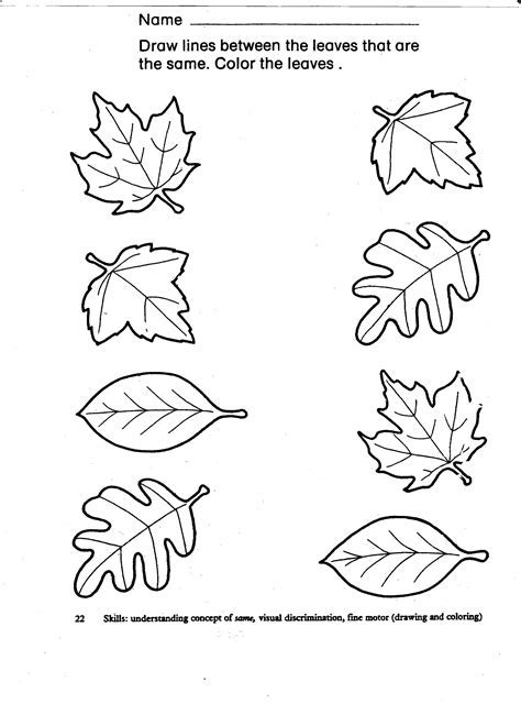 Autumn Leaves Worksheet Worksheets Library