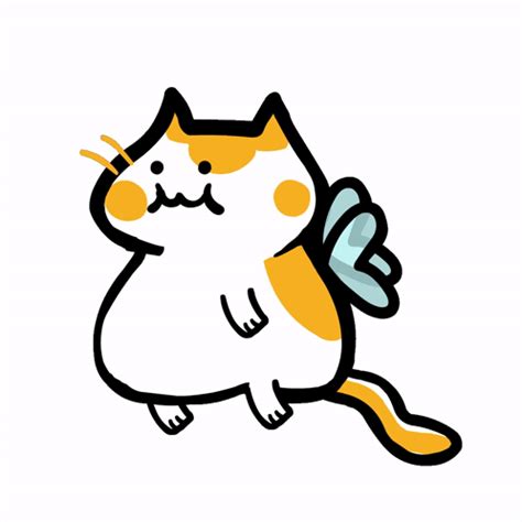 Poku Poku Meow  Trending  On Vif