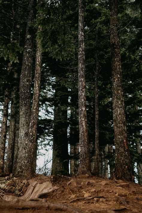 What Is Microclimate Medicine — Willamette Valley Acupuncture James Arellano Lac